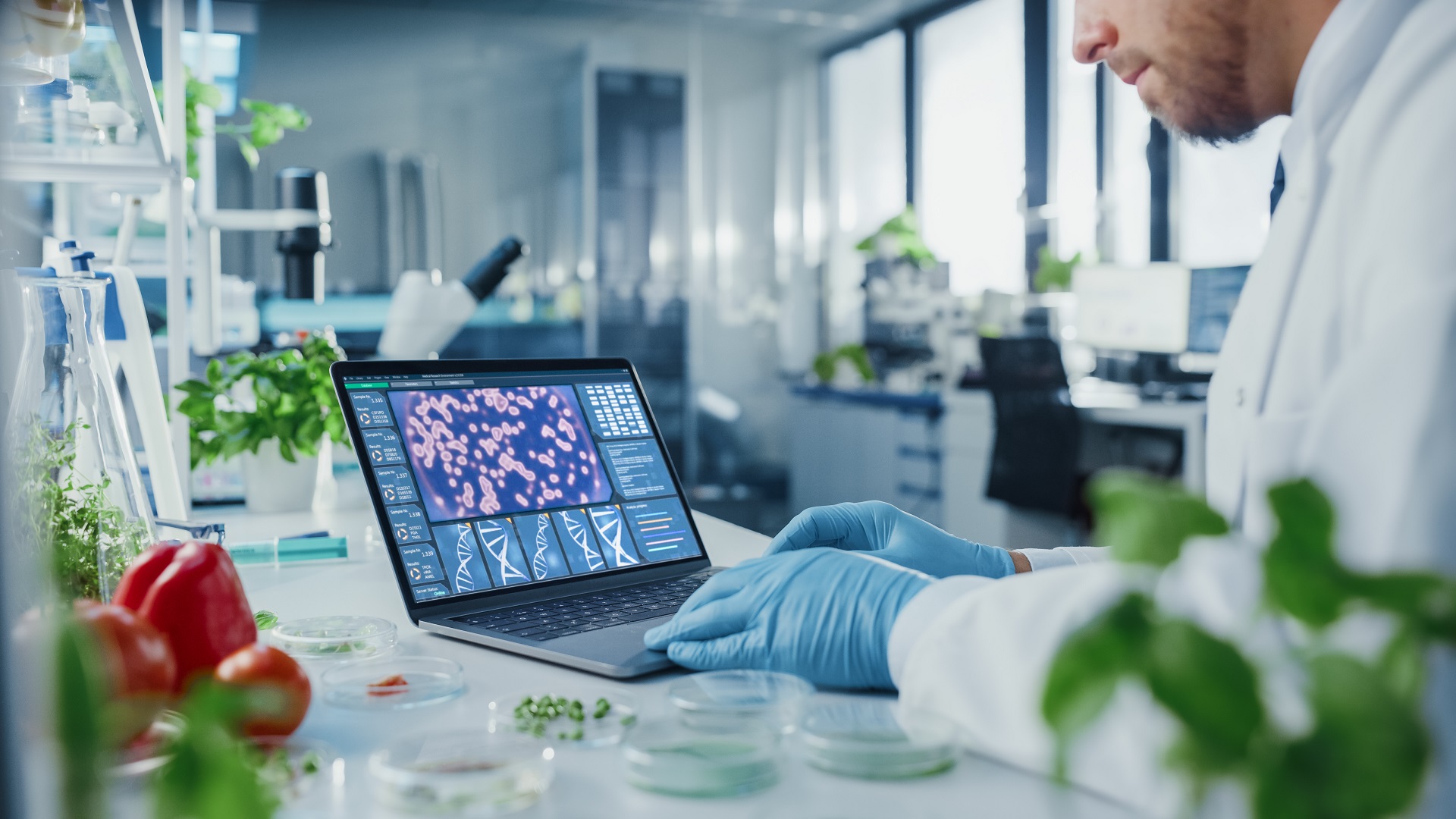 Food, Chemical and Biotechnology | Singapore Institute of Technology